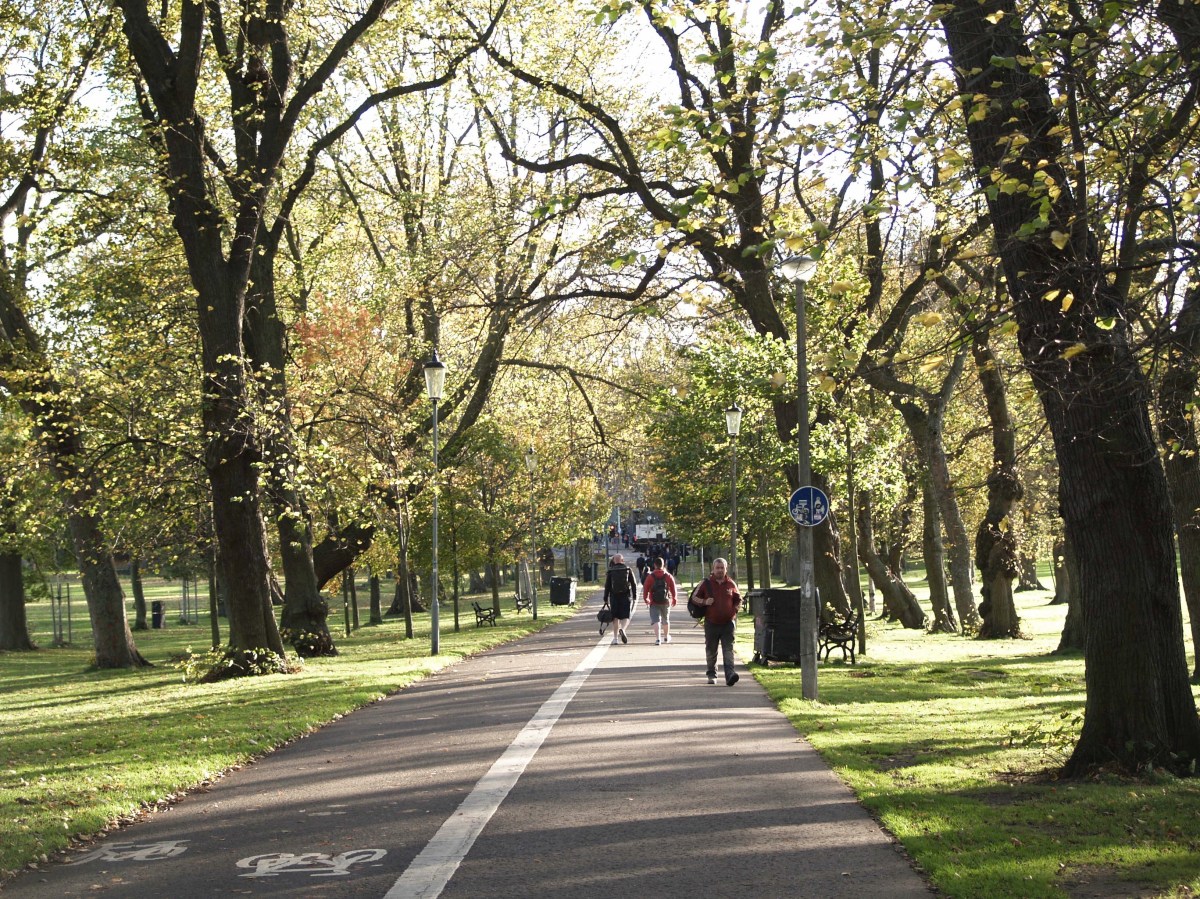 News: October – Carly Brown